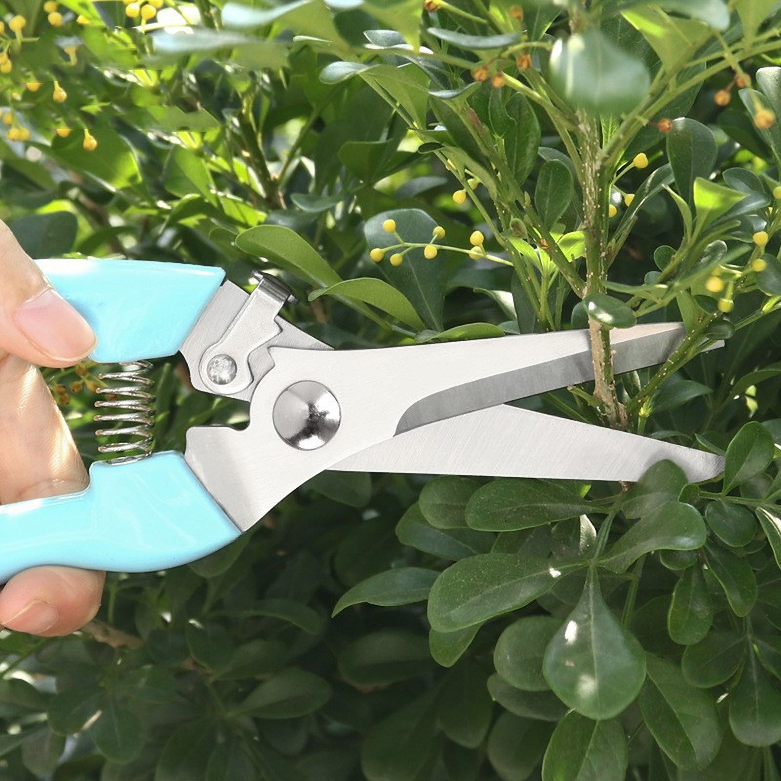 Multifunction Stainless Steel Tree Pruning Scissors Garden Fruit Trees ...
