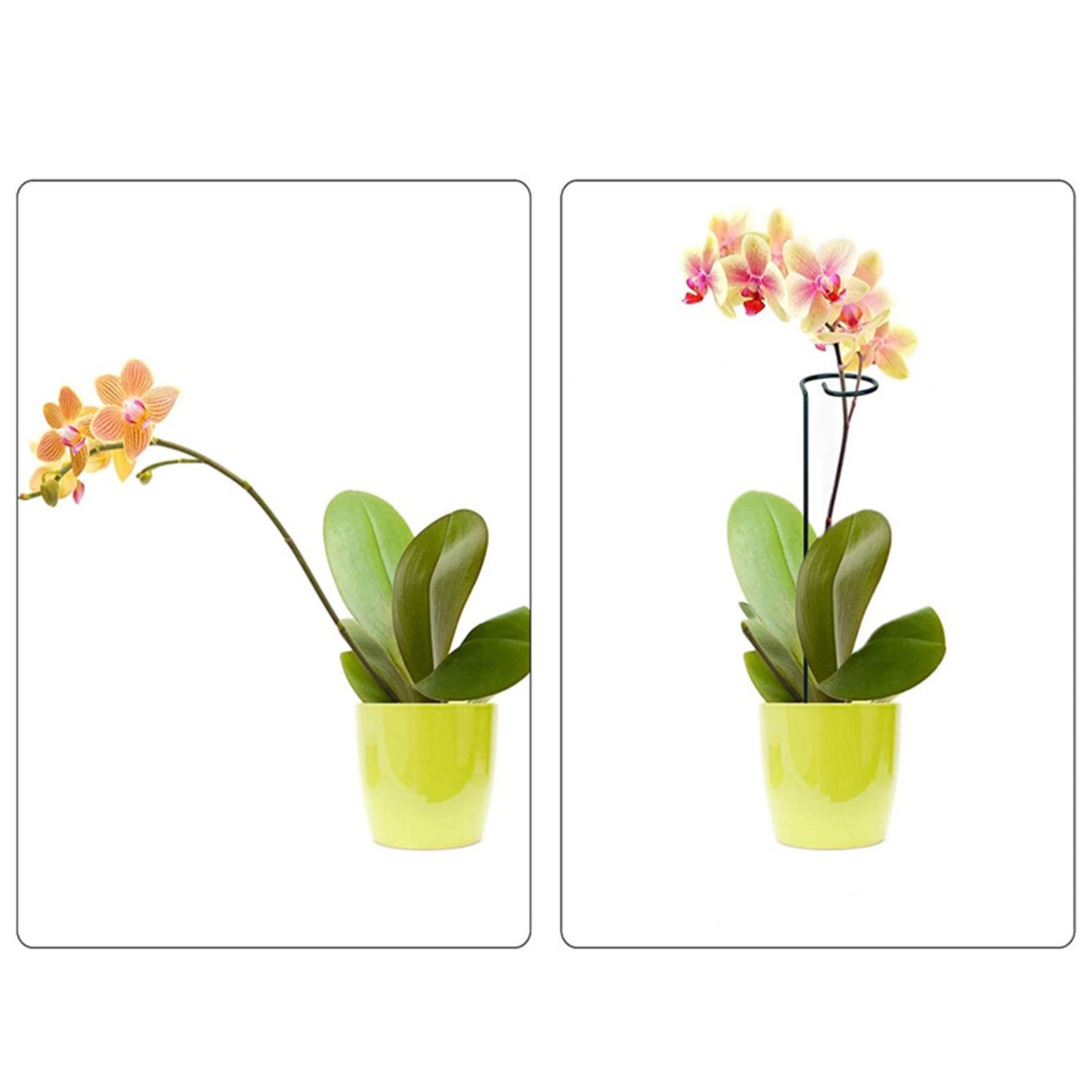 Potted Flower Support Pole Iron Climbing Frame Fixed Flower Frame ...